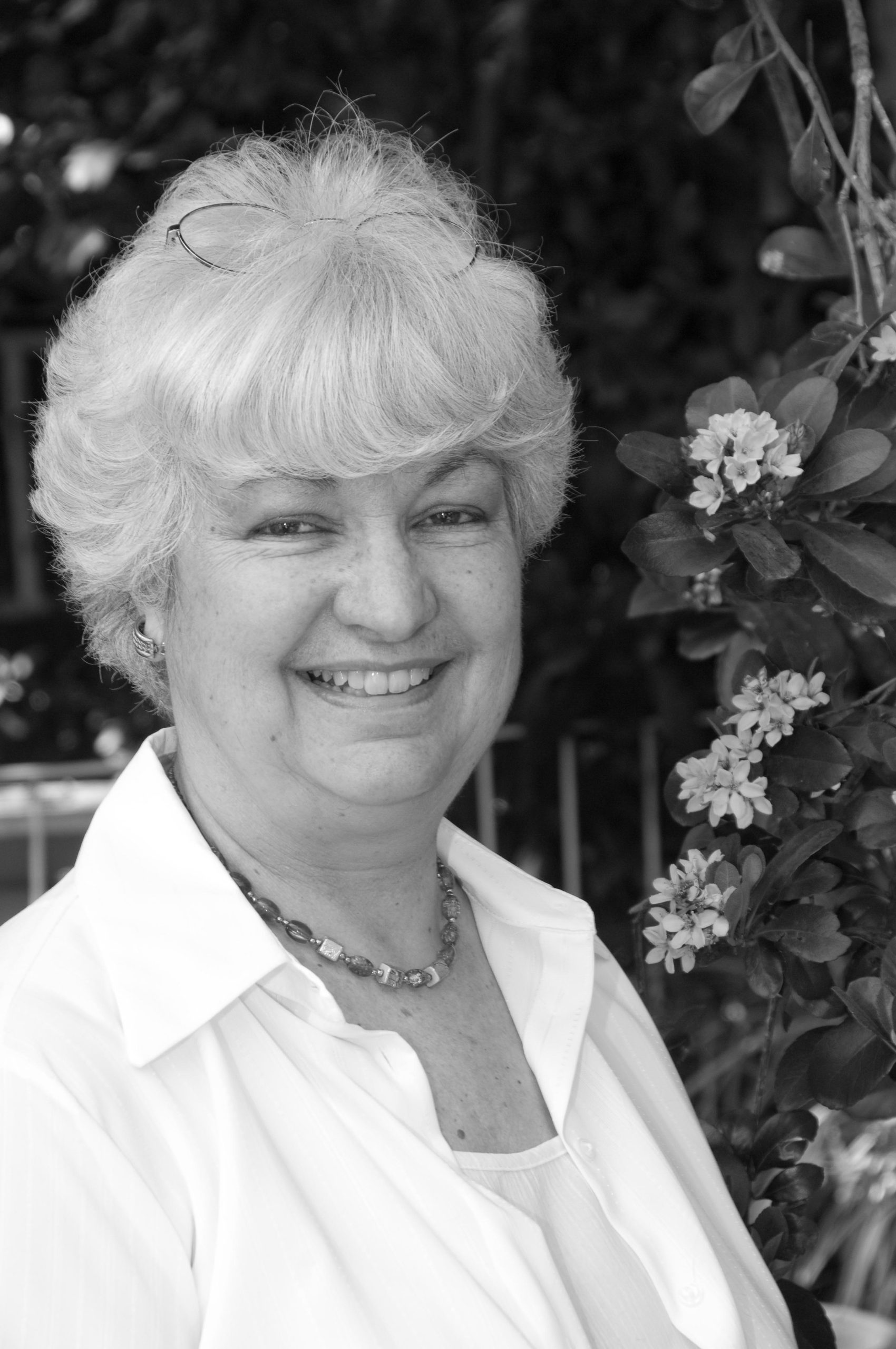 Colleen Harris - KZNSA Gallery