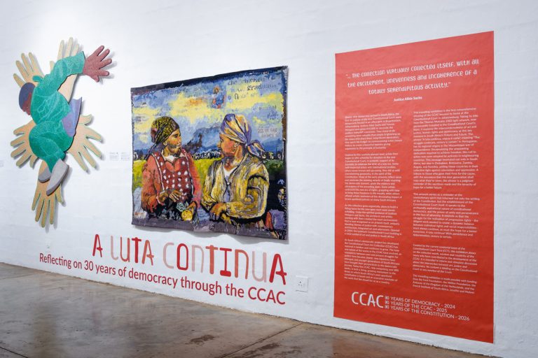 A LUTA CONTINUA: Reflecting on 30 years of democracy through the ...